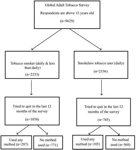 Data Screening Process Download Scientific Diagram