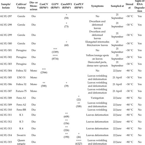 Illumina Sequencing Analysis Of Cannabis Cryptic Virus Cancv And
