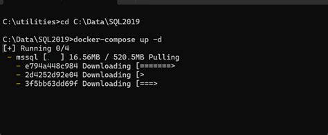 Upgrading Sql Server In A Container Sqlservercentral