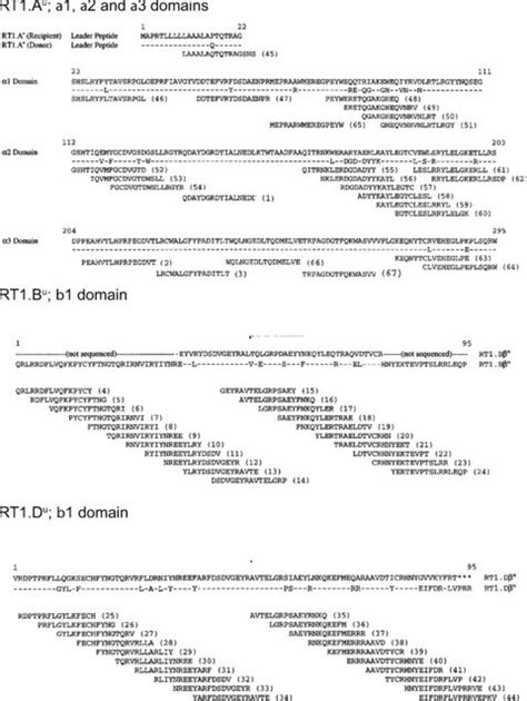Sequence Alignment And Peptides Sixteen Amino Acid Long Overlapping Download Scientific