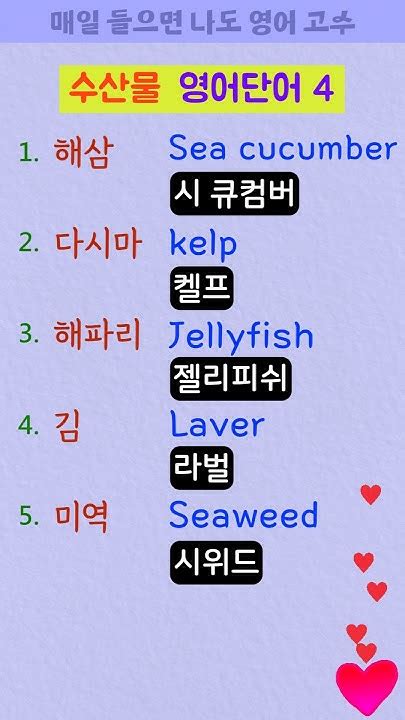 자주 먹는 김 미역 다시마 단어 5개를 영어로 외워보세요~ Youtube