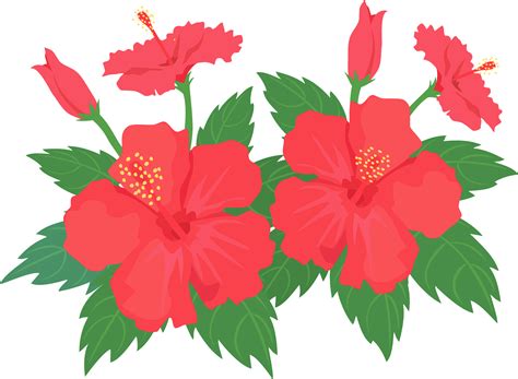 Drawing Bunga Raya Clipart 36 National Flower Of Malaysia Bunga Raya