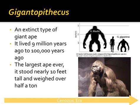 Timeline Of The Earth Ppt Download