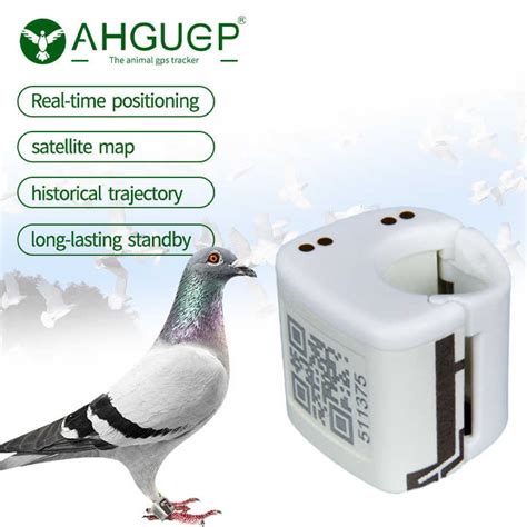 AHGUEP Marke GPS Tracker Brieftauben Blanco Ring IP67 Wasserdichtes 4G