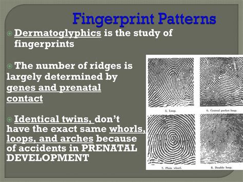 PPT Ch 7 Multifactorial Polygenic Traits PowerPoint Presentation ID 2032390