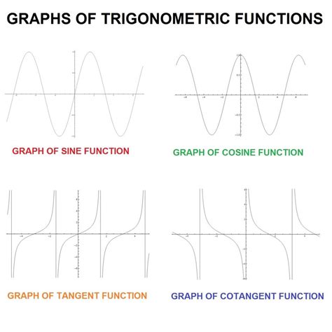 Quiz And Worksheet How To Graph The Tangent Function