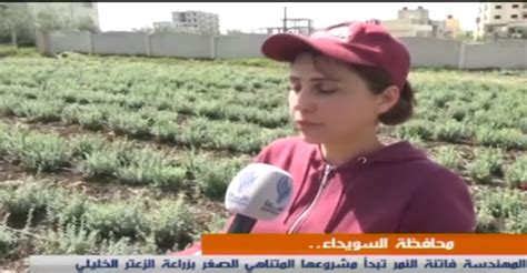 مهندسة سورية تبتكر مشروع خاص وتبدع في زراعة عشبة برية نادرة باتت تدر