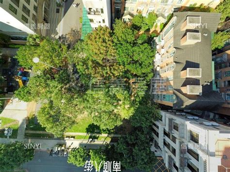 城市綠洲桃園市蘆竹區南順八街店面南崁南順八街收租金店面 房屋出售 樂屋網