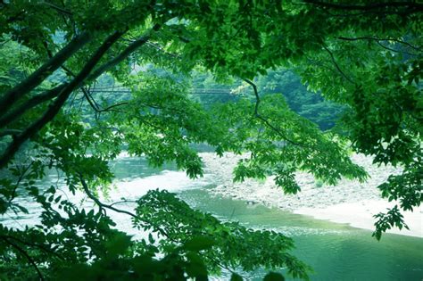 【公式】 新潟県 鷹ノ巣温泉 四季の郷 喜久屋