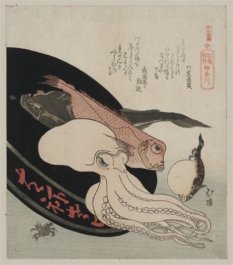 The Octopus