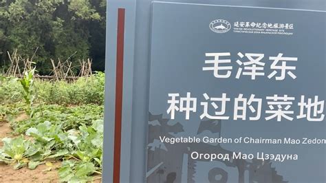 延安杨家岭革命旧址毛主席在这里种过菜去看看菜园有什么吧 YouTube