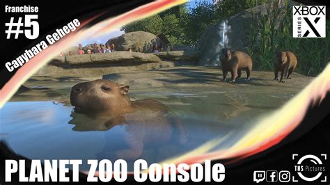 Planet Zoo Console Franchise 5 Capybara Gehege Deutsch Xbox