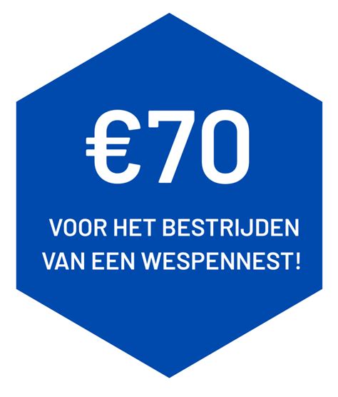 Wespennest Verwijderen Heerlen Veenstra Ongediertebestrijding