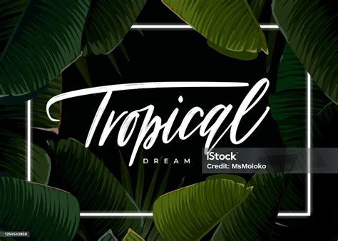 바나나 야자수 잎 빛나는 프레임과 텍스트 공간을 가진 어두운 열대 여름 디자인 벡터 전단지 배너 또는 카드 템플릿 여름 벡터 배경 0명에 대한 스톡 벡터 아트 및 기타