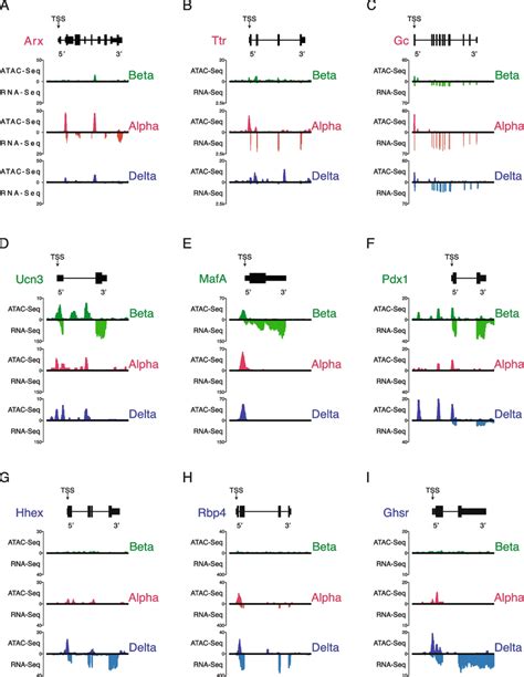 Validating Chromatin Accessibility Atac Seq Alongside Companion Rna Seq Download Scientific