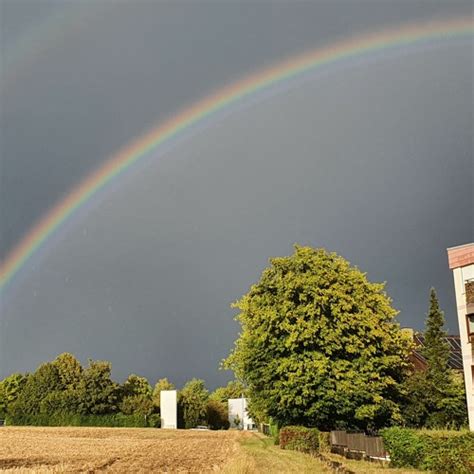 Stream Gott Liebt Diese Welt By Evangelisches Medienhaus Stuttgart