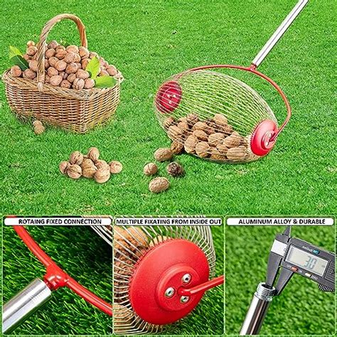 Large Nut Gatherer Rolling Acorn Picker Upper Roller