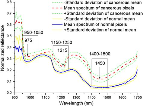 Mean Spectrum Red Dash Line And Standard Deviation Green Dash Lines Download Scientific