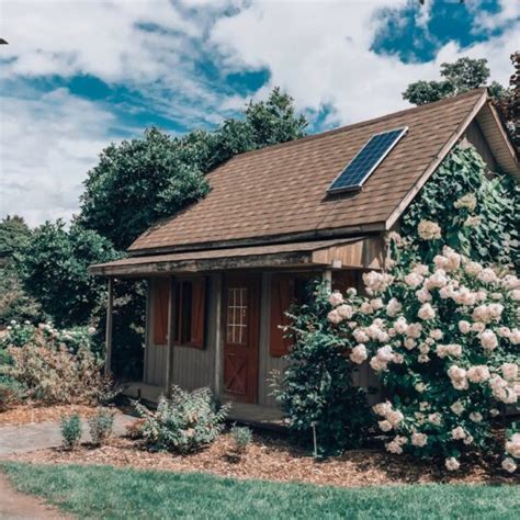Samiec żaby Charakterystyka Nazwa Zachowanie I Rola W Ekosystemie
