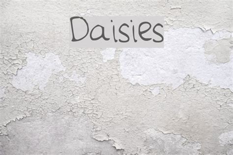 Daisies Font