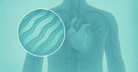 Cardiac Amyloidosis Causes Symptoms And Treatments Ultromics