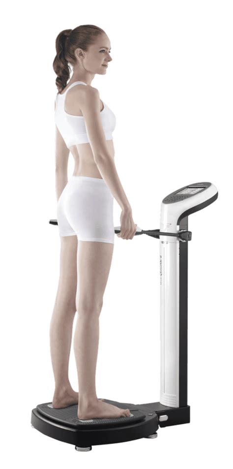 Body Composition Scans Perth Measure Body Fat And Muscle