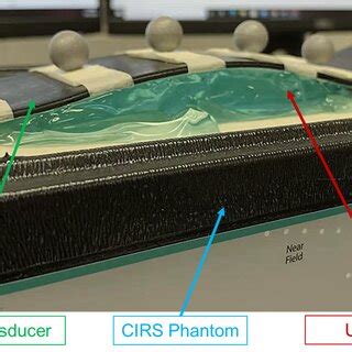 X Ray Image Of The Flexible Array Transducer With The ABDFAN Phantom Download Scientific Diagram