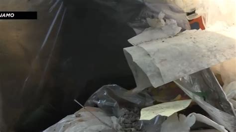 Sanciones Por Tirar Basura En Pénjamo De Forma Ilegal Son Verbales