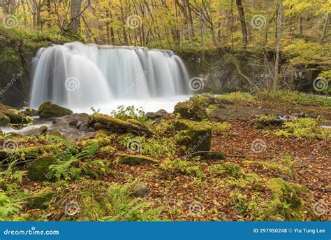 Idyllic Scenery Of Waterfall In Oirase Stream Aomori Japan Stock