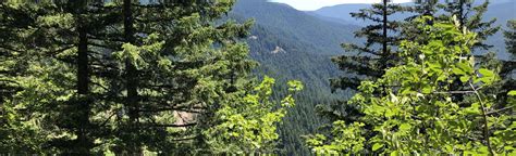 Green Canyon Way Trail 79 Reviews Map Oregon AllTrails