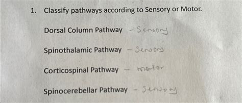 Solved Classify Pathways According To Sensory Or Chegg