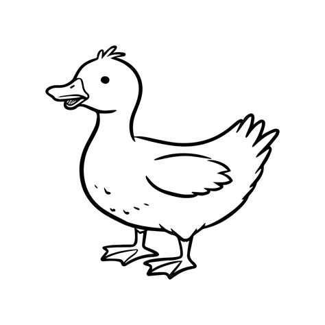 Premium Vector Duck Coloring Pages Duck Outline Vector For Coloring Book