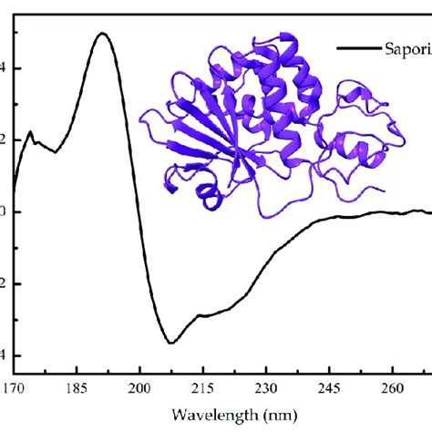 Far Uv Circular Dichroism Cd Spectrum Of Ribosome Inactivating