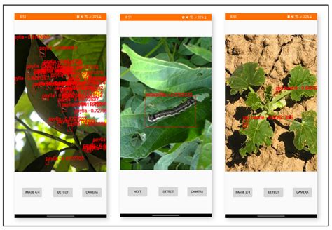 Small Pests Detection In Field Crops Using Deep Learning Object Detection