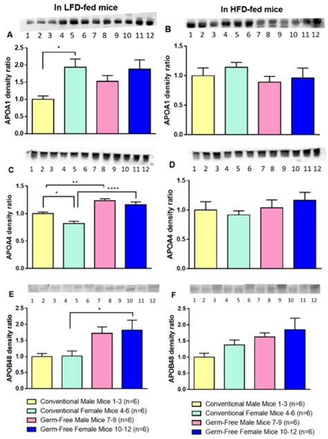 Comparison Of Apoa1 Ab Apoa4 Cd And Apob48 Ef Levels In