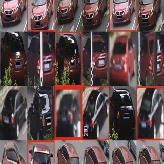 Examples Of Identification Errors The Query Image Is Shown On The