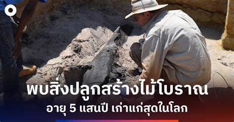 พบสงปลกสรางไมเกาแกสดในโลกกวา 5 แสนป ชคนยคหนอาจสรางบาน