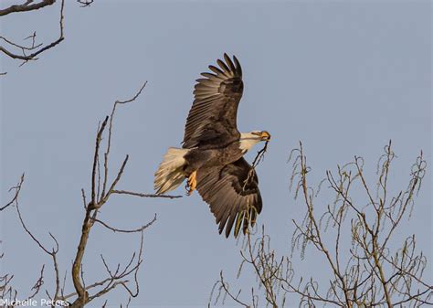 🥳 Since The 1970s We Have Led Ohio Division Of Wildlife