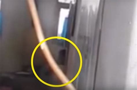 Video Oknum Guru Selingkuh Dan Mesum Di Kelas Ini Yang Mereka Dapatkan Akibat Perbuatannya