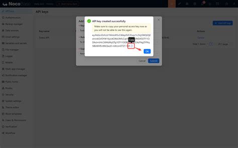 how to use api keys in nocobase to retrieve data nocobase