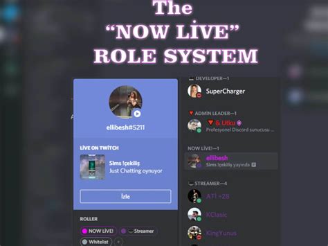 professional discord server with the best design upwork