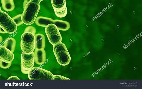 인간의 면역력 프로바이오틱 배경 사람들의 건강 스톡 일러스트 2310419457 Shutterstock