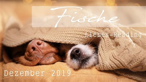 FISCHE am Ende fühlt es sich gut an Tarot Reading LIEBE