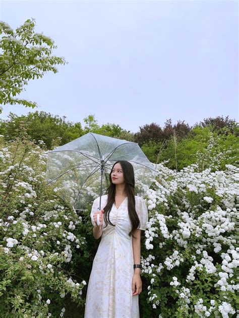 대전 꽃구경 한밭수목원 동원 튤립 샤스테이지 정보 대전 수목원 둔산동 놀거리 추천 네이버 블로그