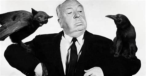 The Master Of Birds Album On Imgur