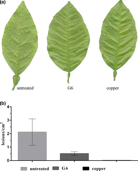 Hexyl Gallate G6 Protects Citrus Plants Against Xanthomonas Citri