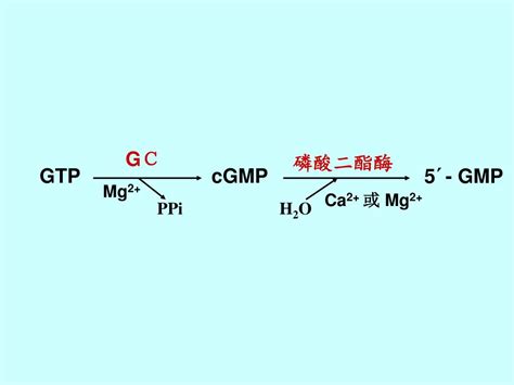 Ppt 细胞信号转导 （ Signal Transduction Powerpoint Presentation Id3908989