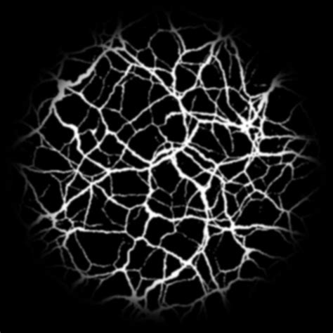 Tissue Alpha Texture