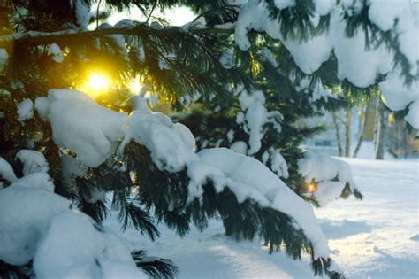 Solsticio De Invierno 2021 El Día Más Corto Y La Noche De México