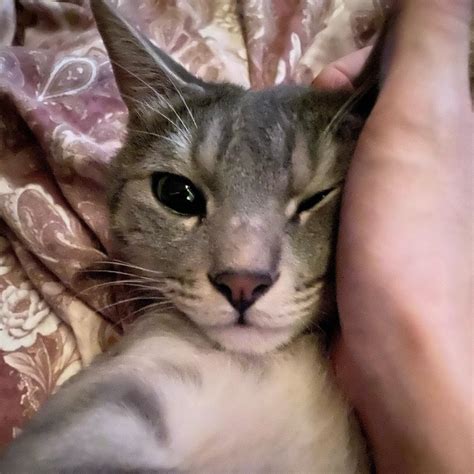 The Princess Dory🌸👑 Theprincessdory • Instagram Photos And Videos